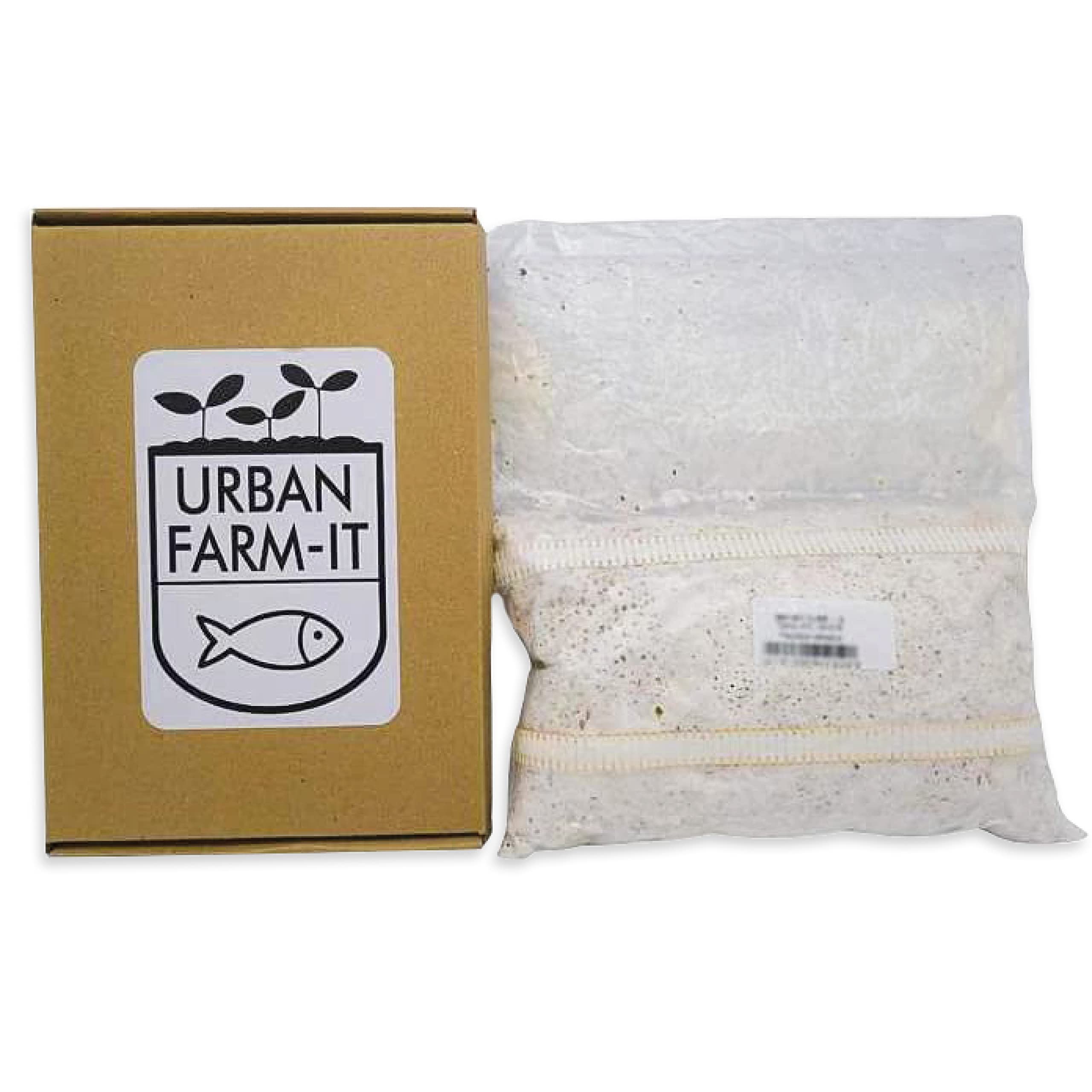 Urban-Farm-It - Wine Cap Mushroom Spawn, Easy to Use and Fast Growing ...