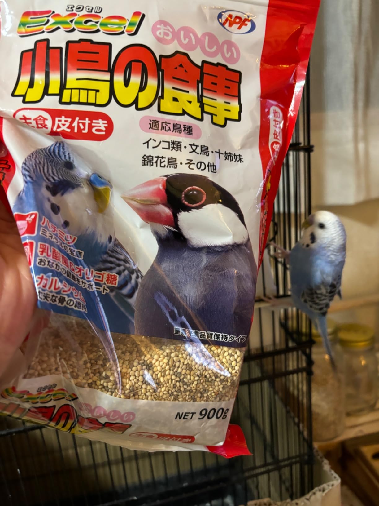 Amazon | エクセル おいしい 小鳥の食事 皮付き 900g | NPF ナチュラルペットフーズ | 餌 通販