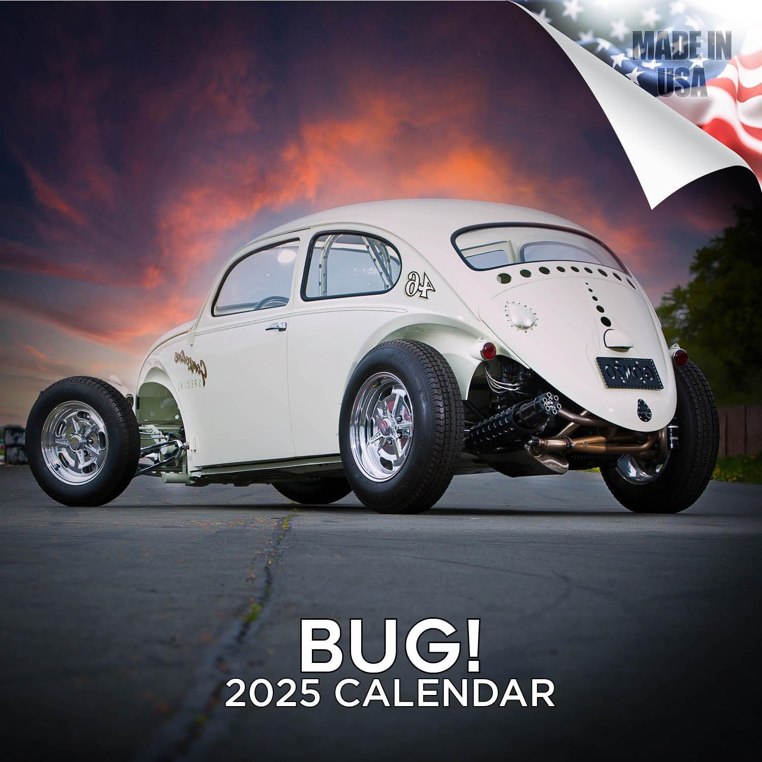 Amazon.com : 2024 2025 Beetle Calendar - Tribute Classic Car Monthly ...