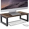 YGYQZ Wood Adjustable Monitor Riser for Desk, 2 Tier Dual Monitor Stand ...