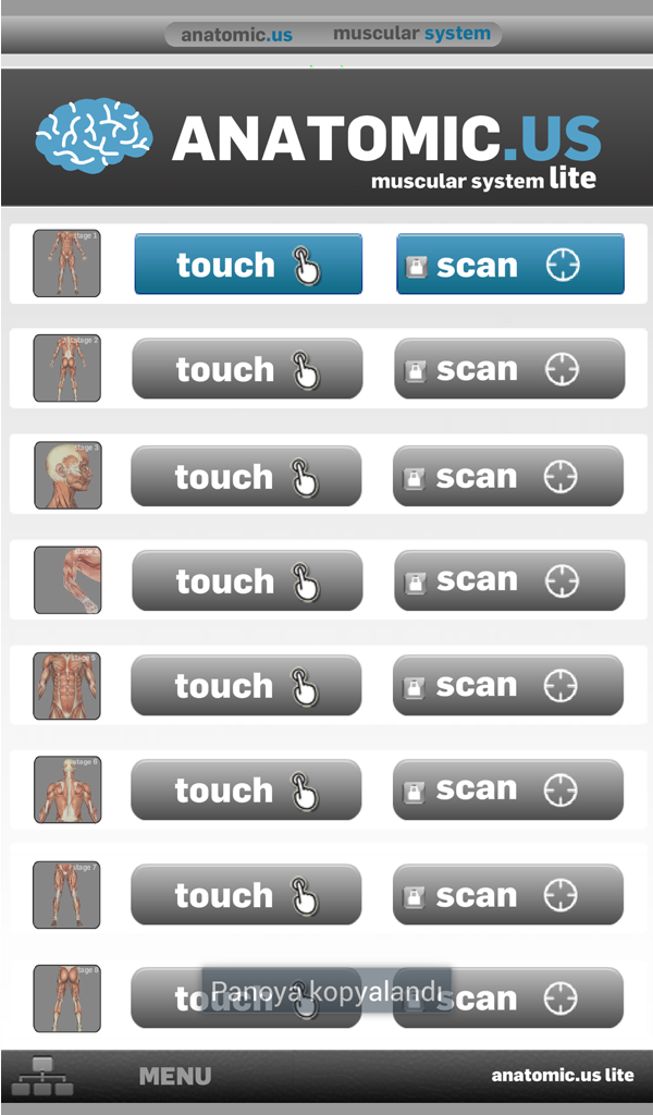 MUSCULAR ANATOMY GAME LITE - App on Amazon Appstore