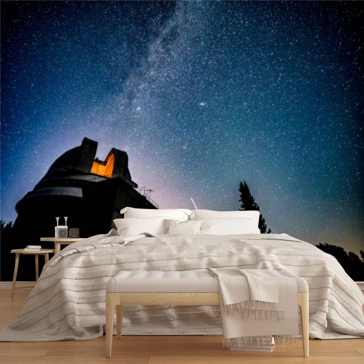 Amazon.com: 3D Modern Canvas Wallpaper Mural Observatory Under Peel and ...