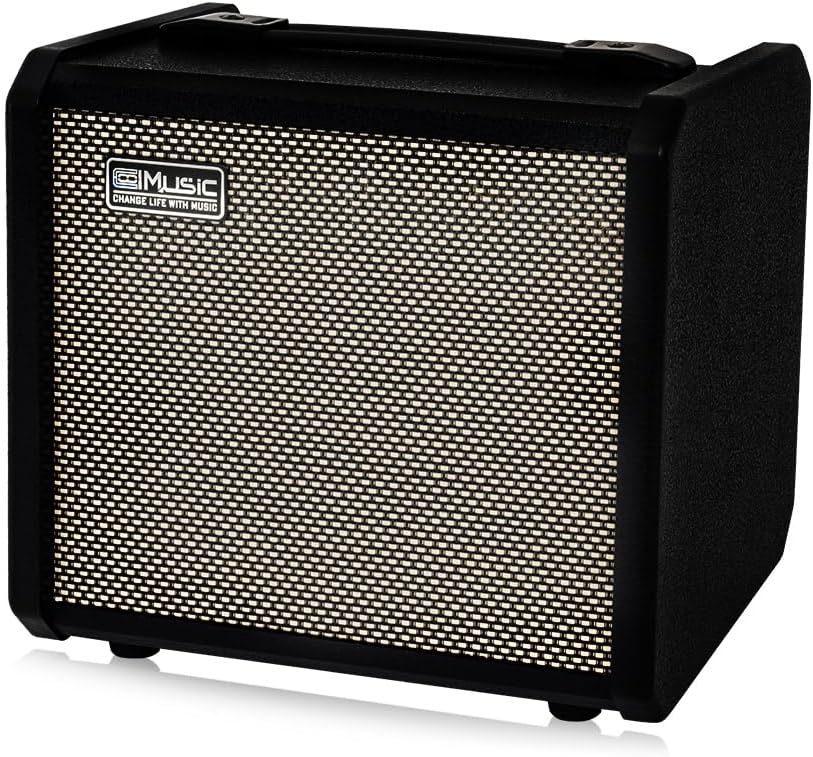 Amazon.com: Fender Rumble LT25 Bass Amplifier, black, with 2-Year ...