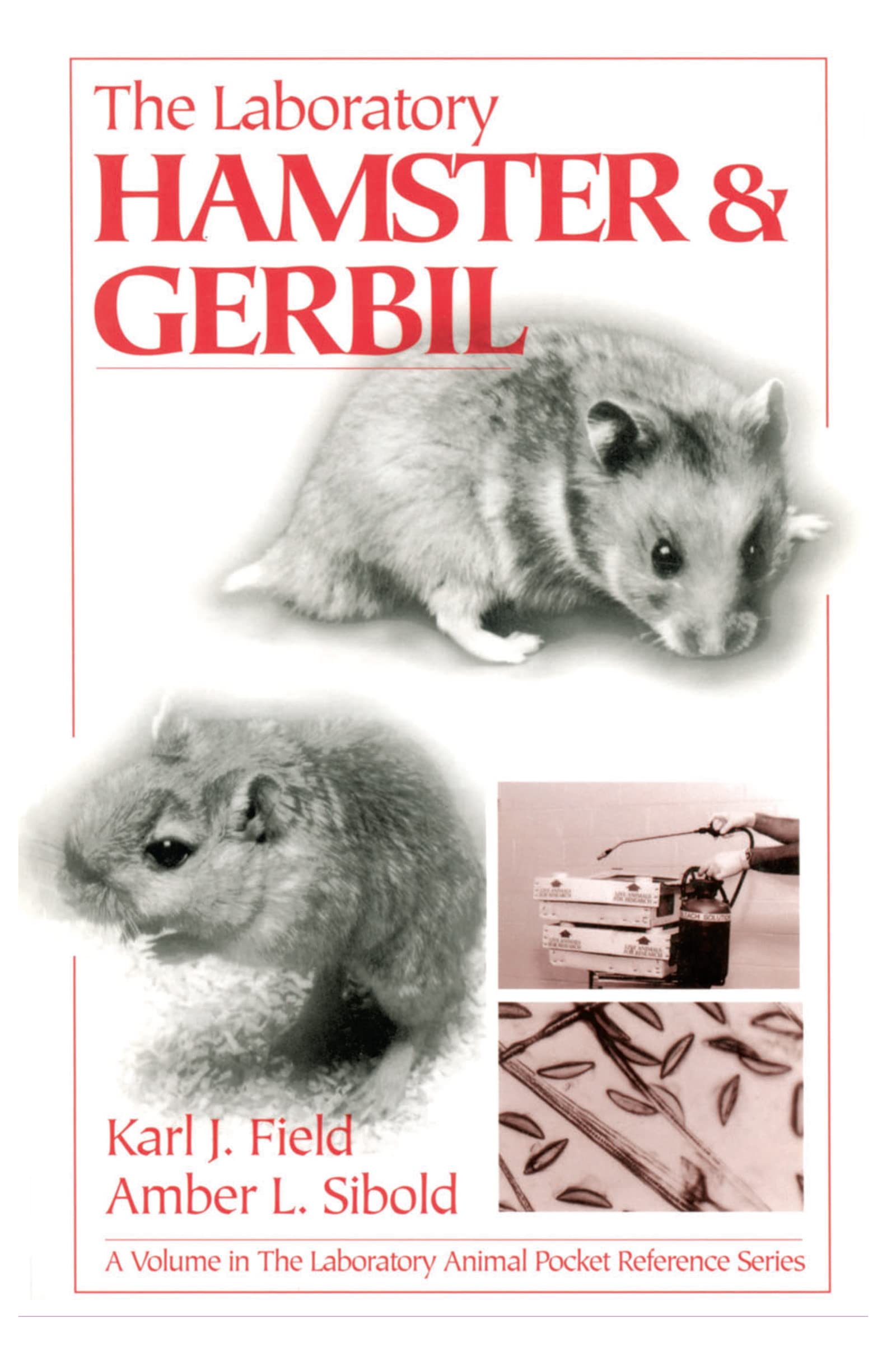 The Laboratory Hamster and Gerbil: Field, Karl J.: 9780849325663 ...