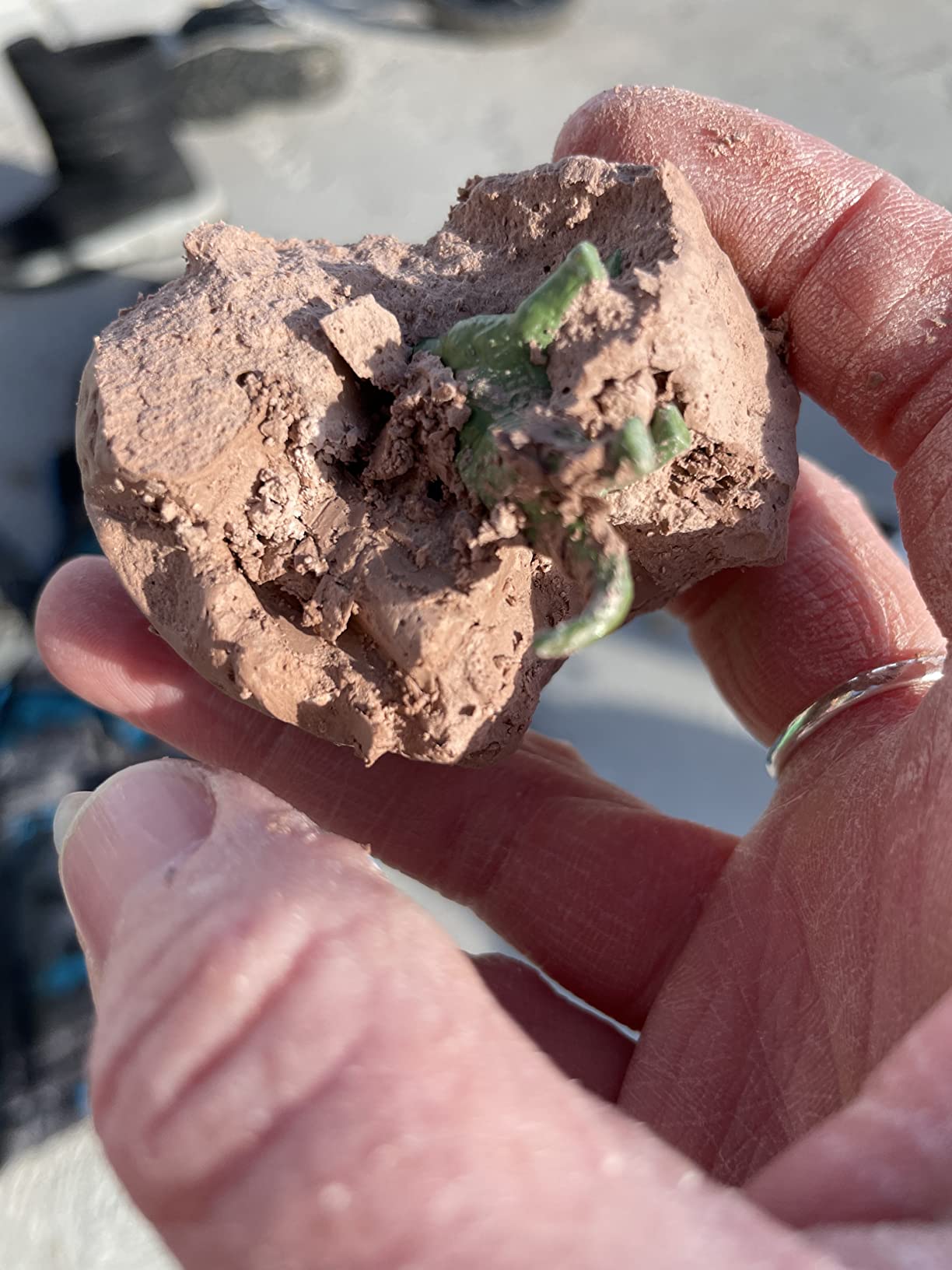 $9/mo - Finance ZenBombs Dinosaur Toys-Dinosaur Eggs Dig Kit for Kids ...