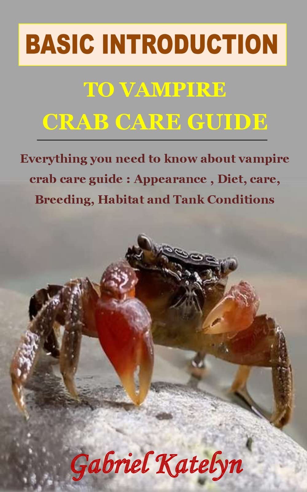 Buy BASIC INTRODUCTION TO VAMPIRE CRAB CARE GUIDE: Everything you need ...