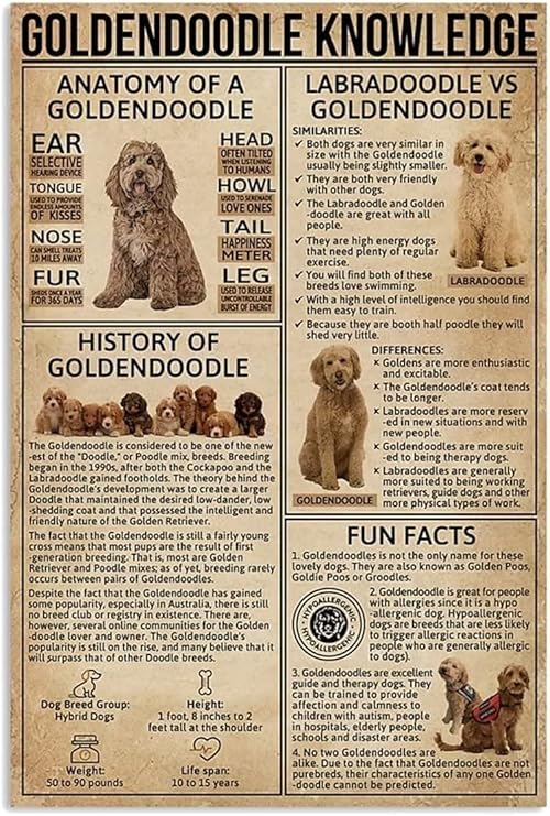 Amazon.com: Goldendoodle Knowledge Metal Tin Signs Vintage History Of ...