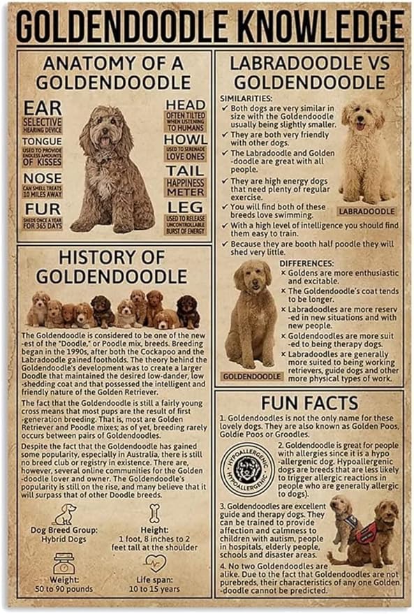Amazon.com: Goldendoodle Knowledge Metal Tin Signs Vintage History Of ...