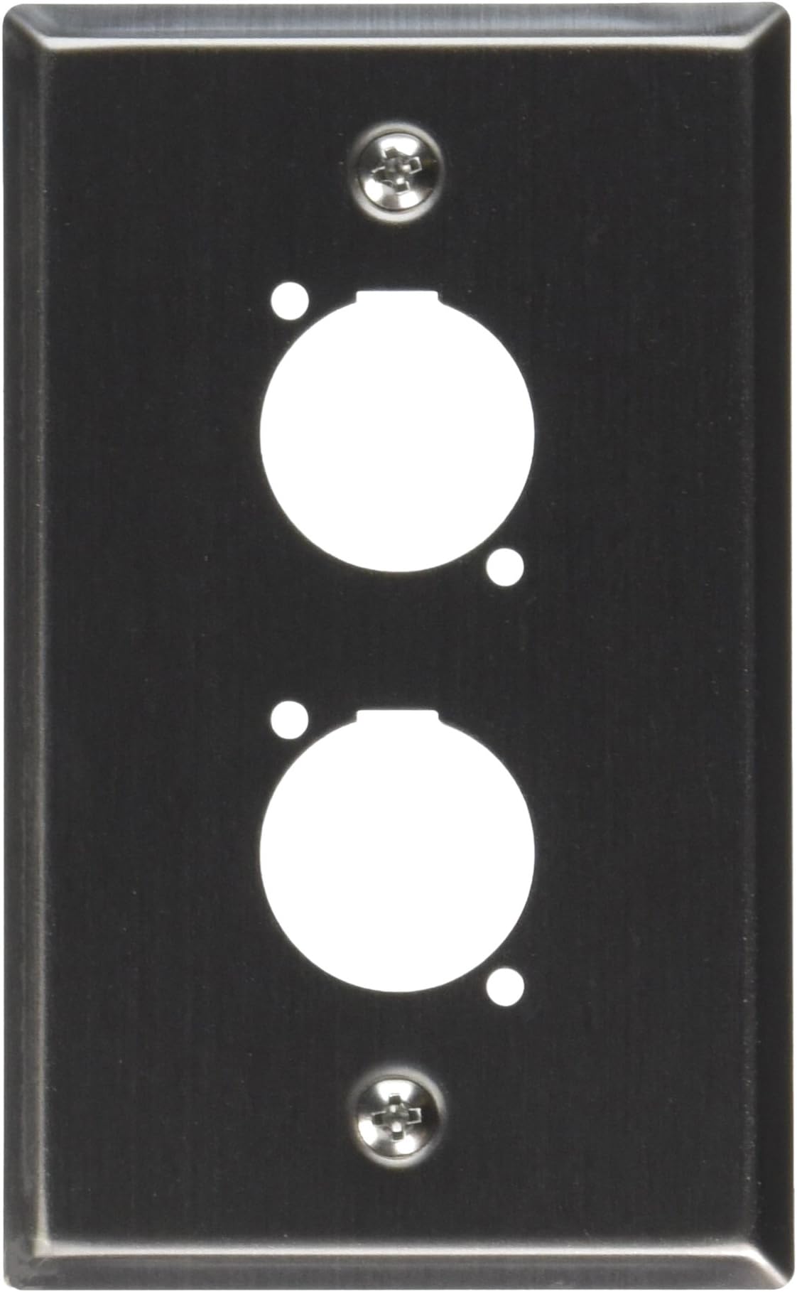 Amazon.com: Seismic Audio SA-PLATE43 Stainless Steel Wall Plate Dual "D ...