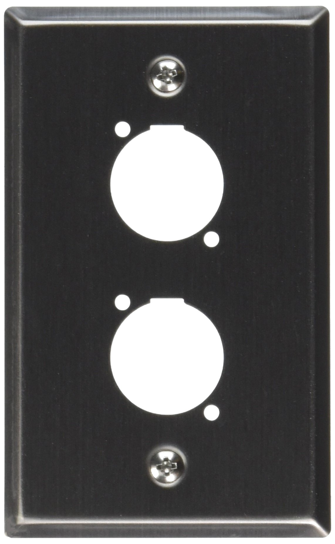 Amazon.com: Seismic Audio SA-PLATE43 Stainless Steel Wall Plate Dual "D ...