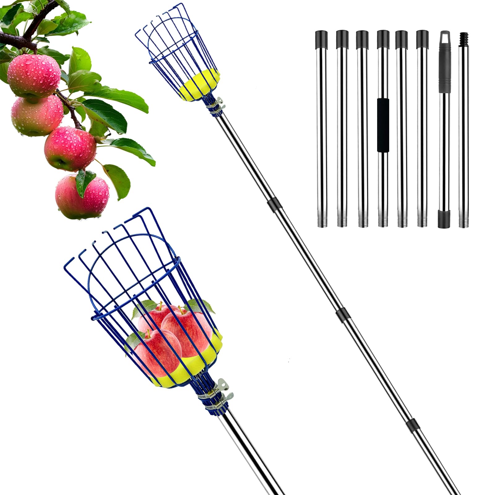 Amazon.com : NBGYTECH Fruit Picker Pole Tools Metal Basket Fruit ...