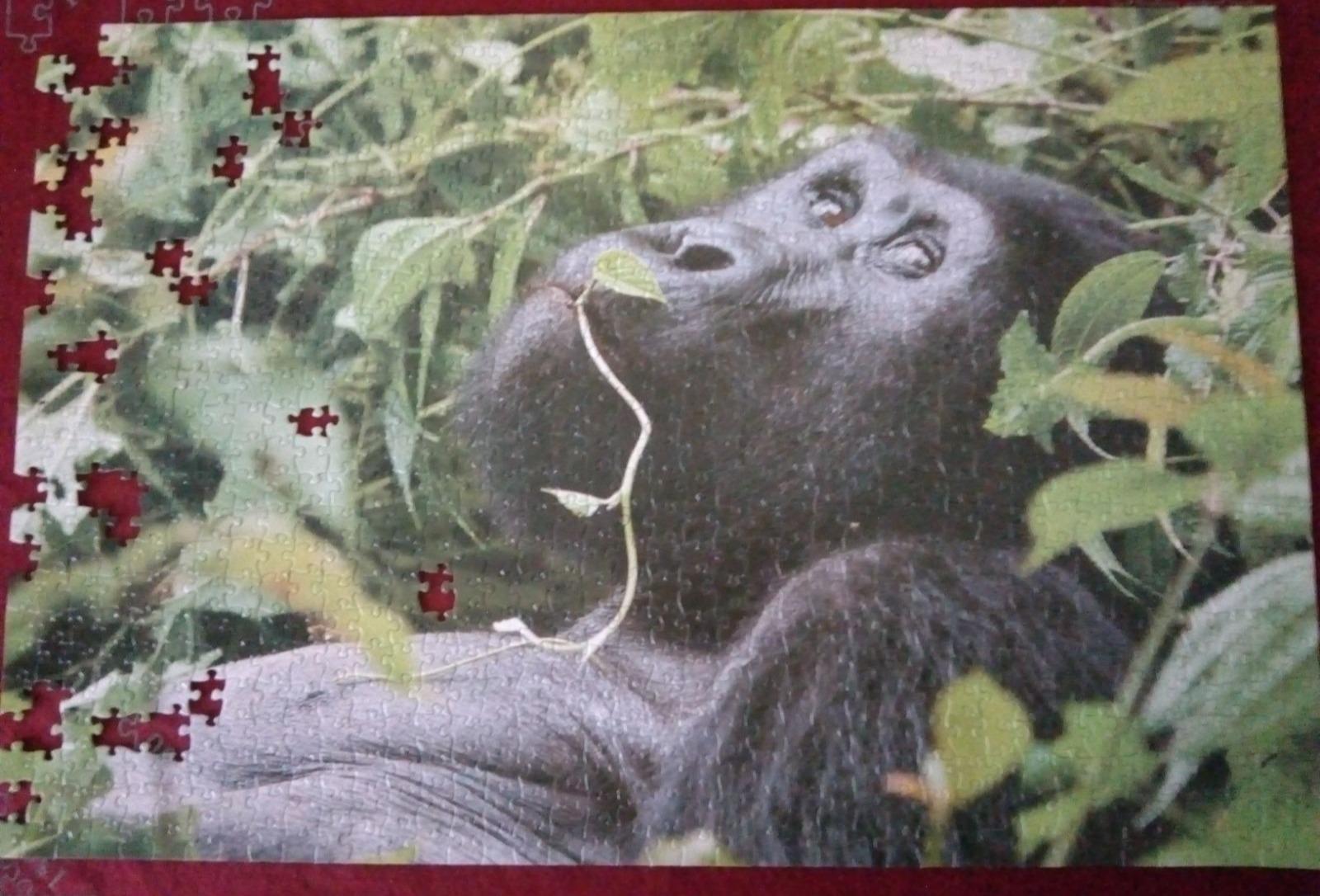 BBC Earth 1000 Piece Jigsaw Puzzle With Jigsaw Roll - Gorilla : Amazon ...