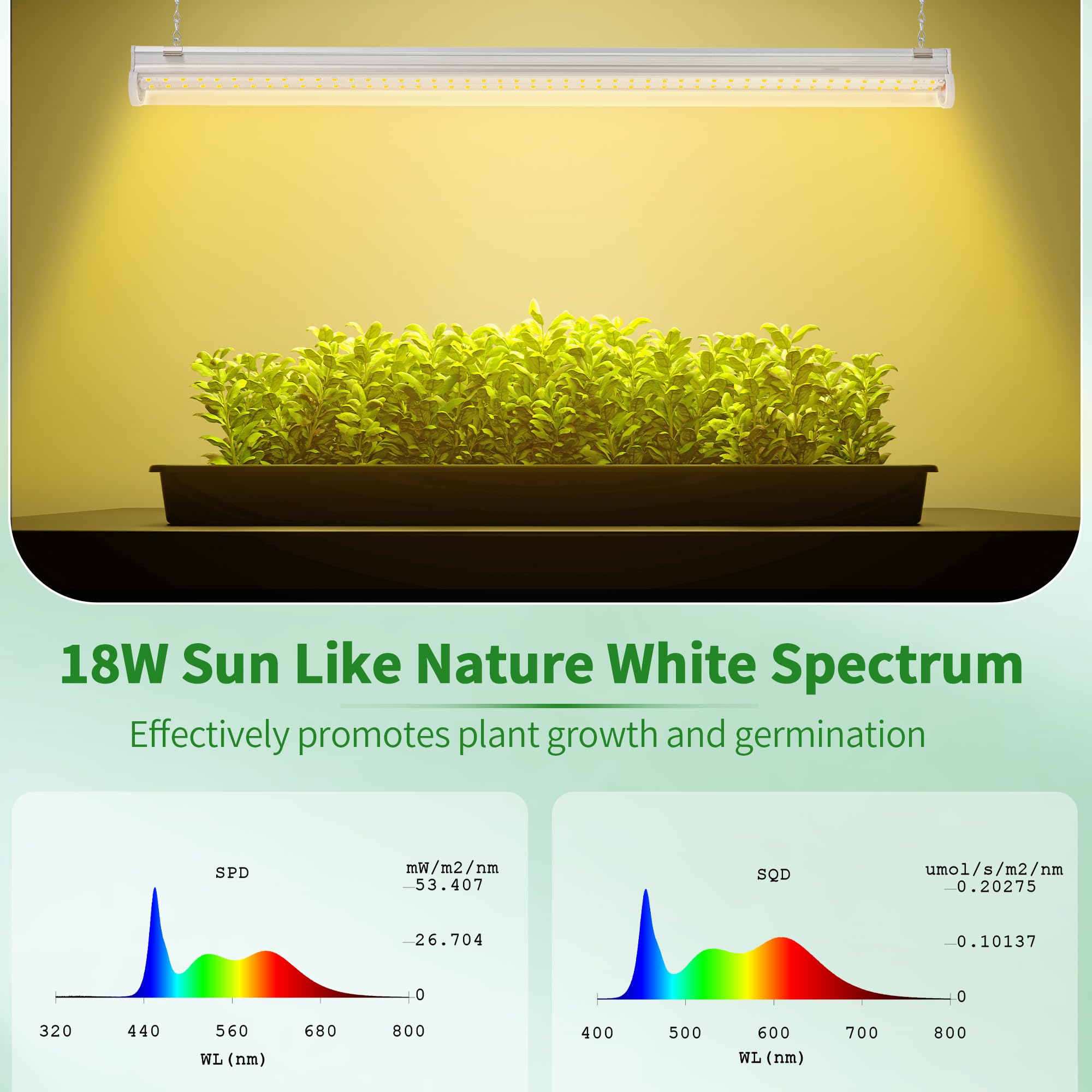 Feekoon Grow Lights for Seed Starting with Stand, LED Grow Lamp with ON ...