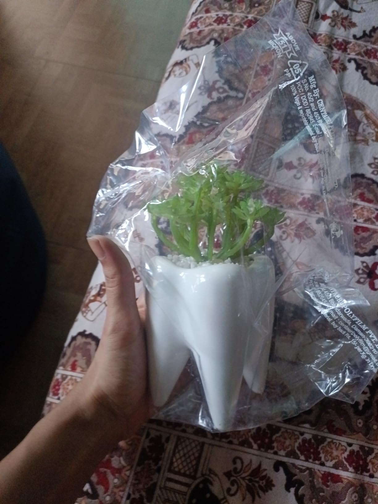 Cute Tooth Shaped Ceramic Planter with Artificial Succulent, White ...