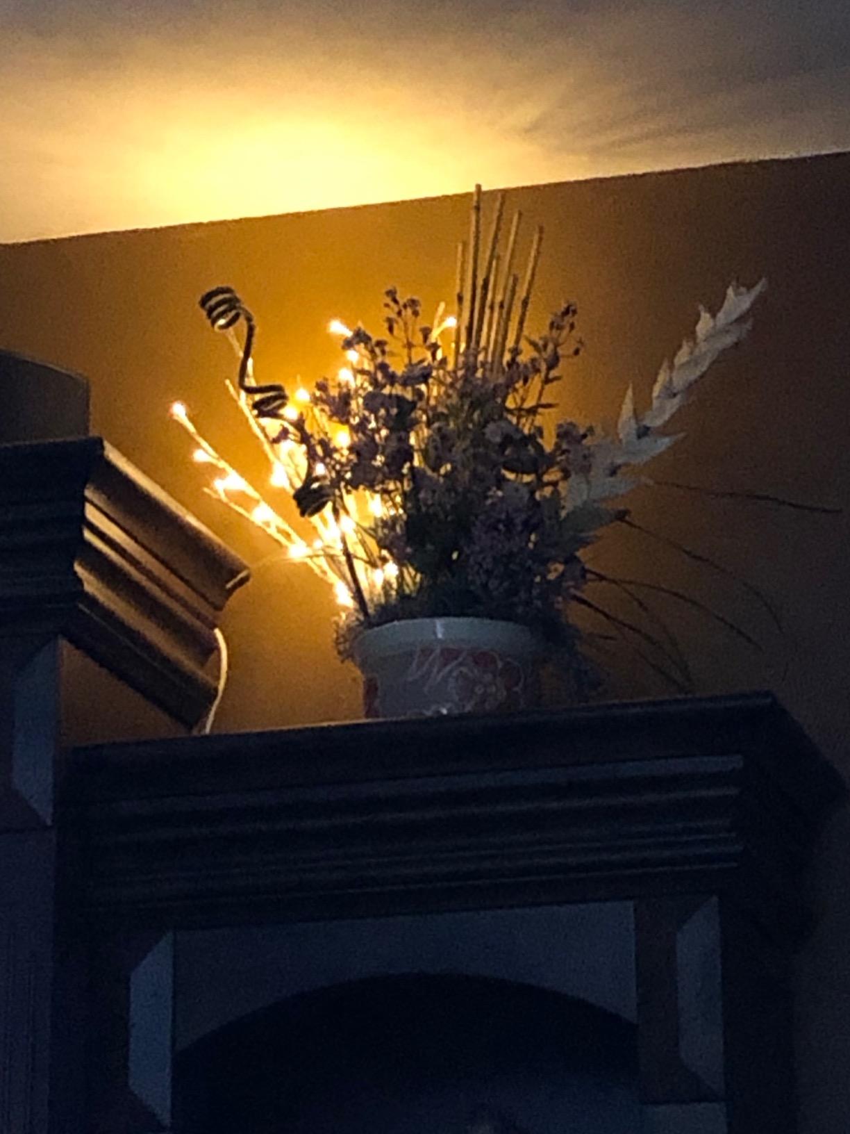 Amazon.com: Light Garden 01915-184135 60LT 20" LED BIRCH BRANCH SET ...