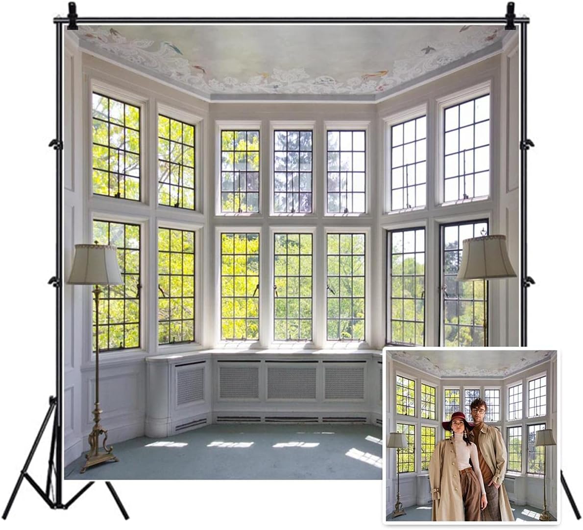 Amazon.com : AOFOTO 8x8ft Classic French Pane Bay Window Backdrop ...