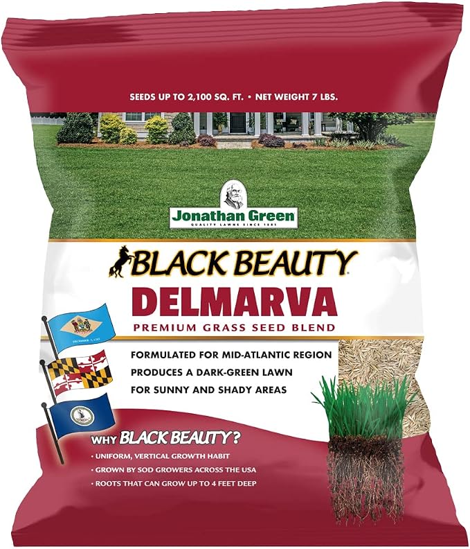 Amazon.com : Jonathan Green (10391) Black Beauty Delmarva Grass Seed ...