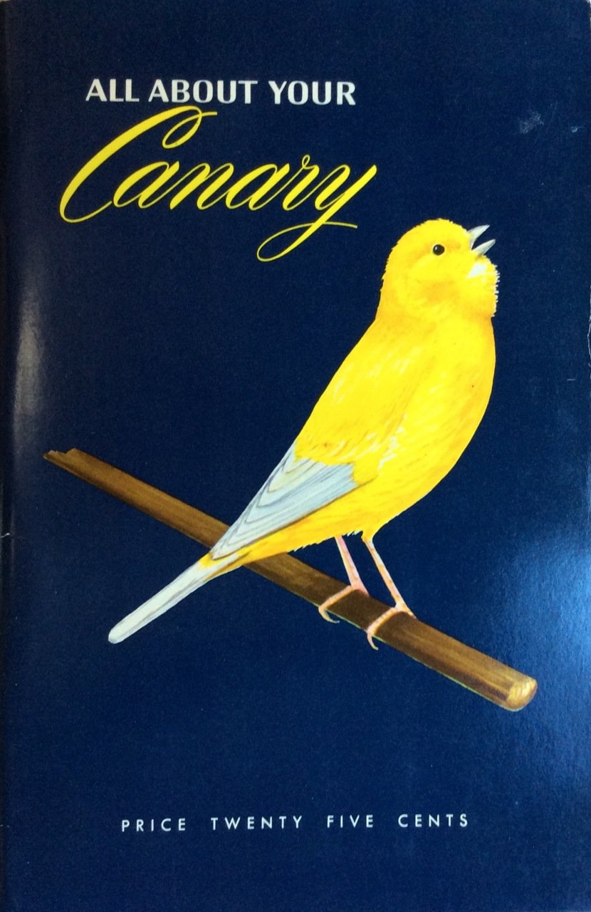 All about your canary: Unknown: Amazon.com: Books