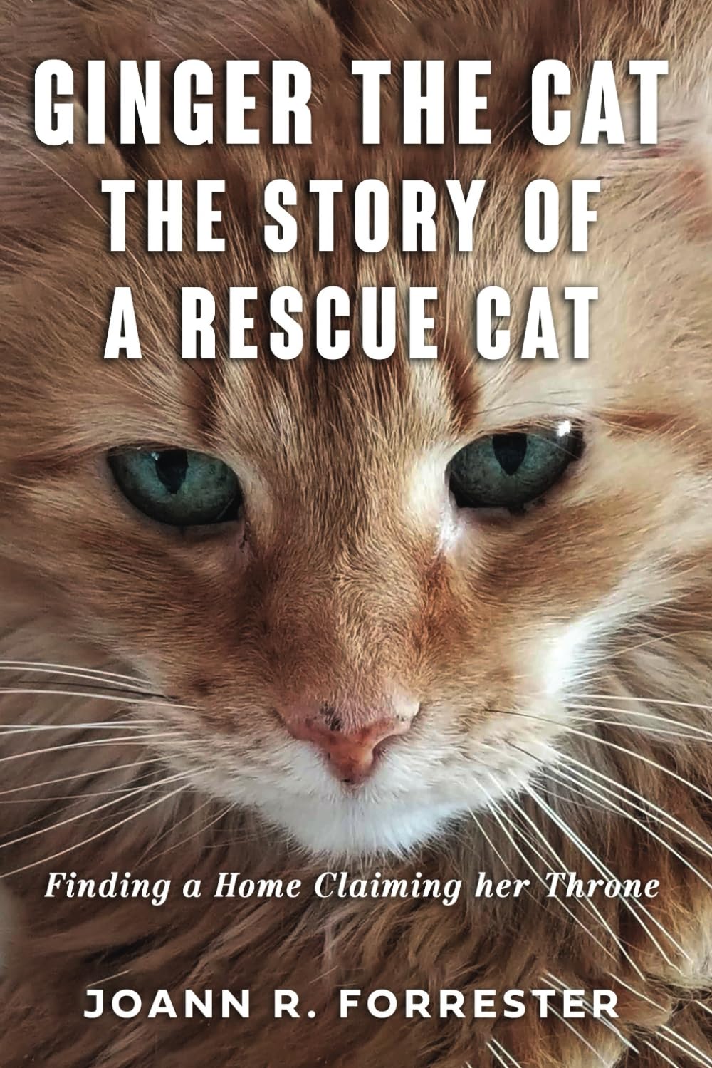 Ginger The Cat: The Story of A Rescue Cat: Forrester, JoAnn R ...