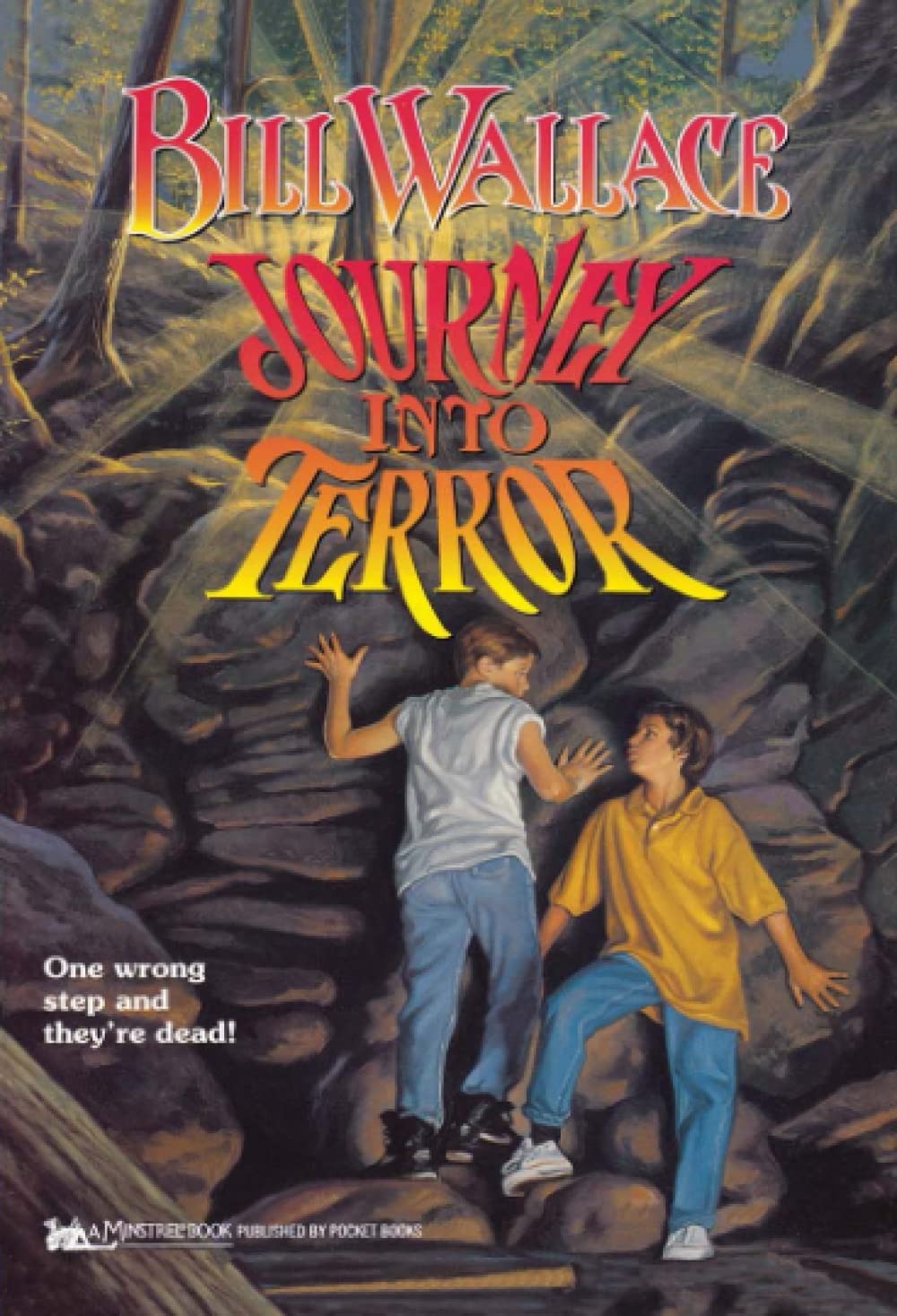 Journey into Terror (Paperback): Wallace, Bill: 9780671519995: Amazon ...