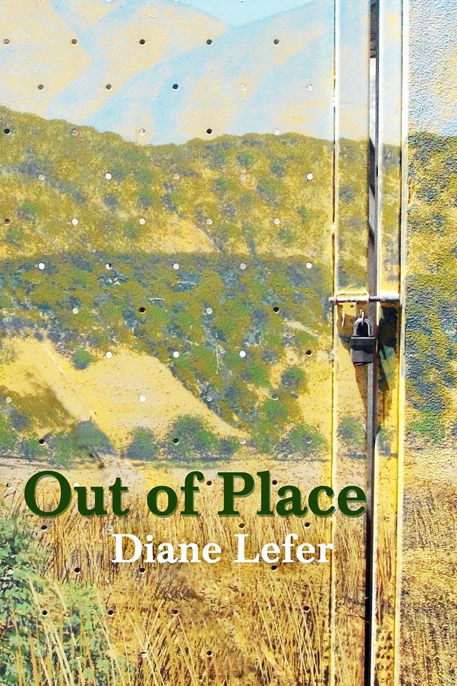 Out of Place: Lefer, Diane: 9781953236043: Amazon.com: Books