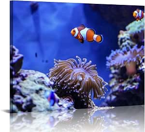 Amazon.com: ARISTURING Framed Canvas Wall Art Clownfish Colorful Fish ...