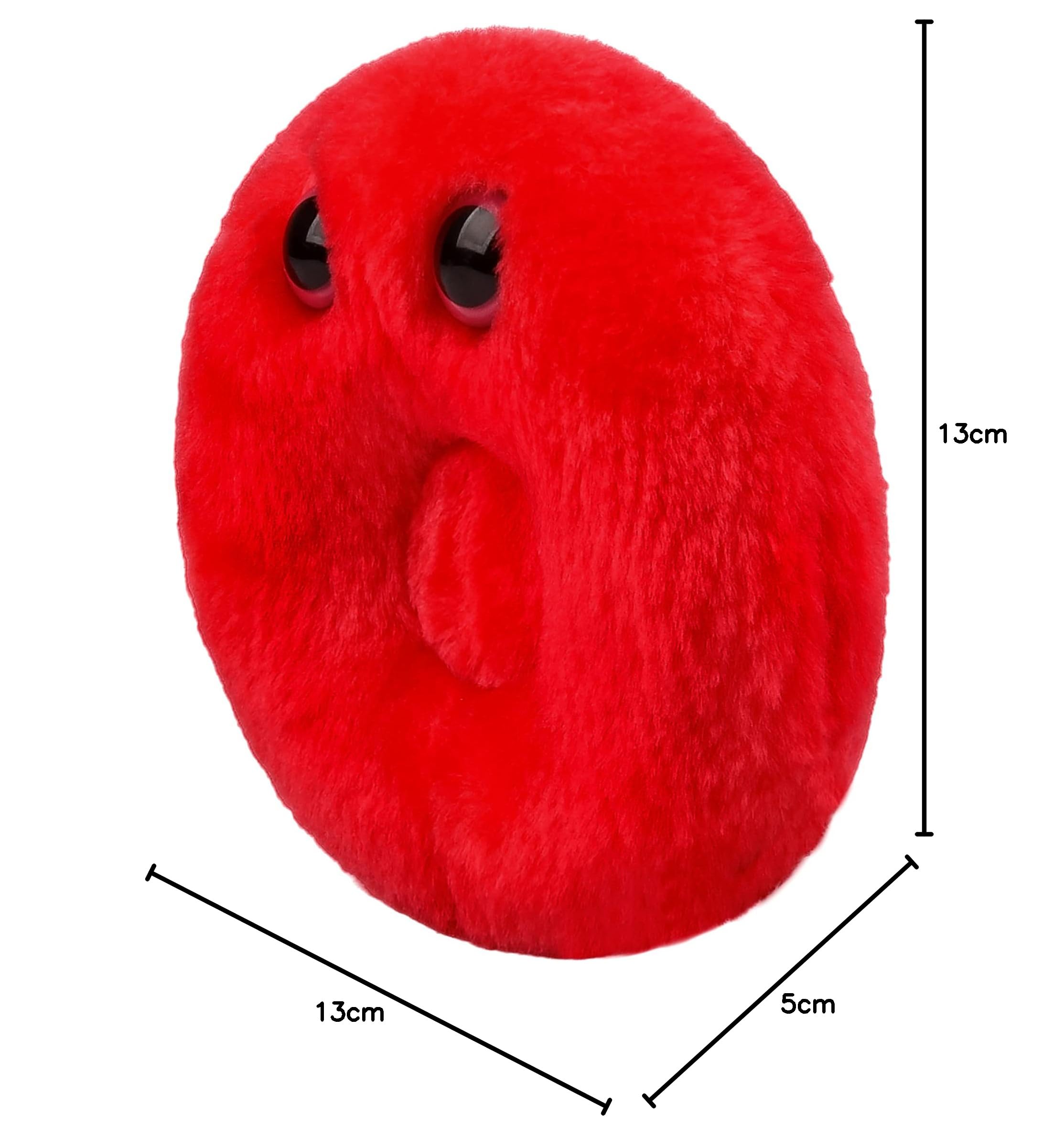 Red Blood Cell Gifts All Blood Cells Overview Top Vector
