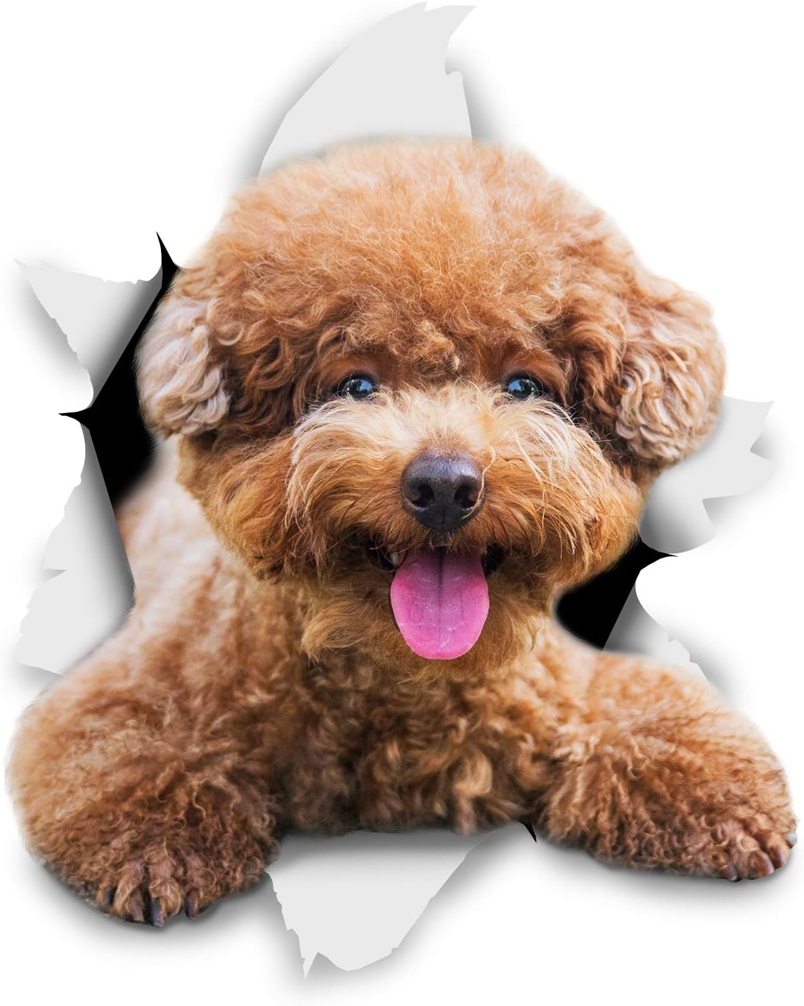 Amazon.com: Winston & Bear 3D Dog Stickers - 2 Pack - Smiling Brown ...