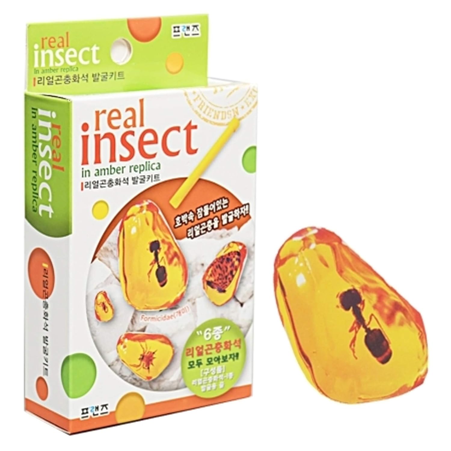 Amazon.com: Real Insect Fossil Excavation Kit, Real Bug Dig in Amber ...