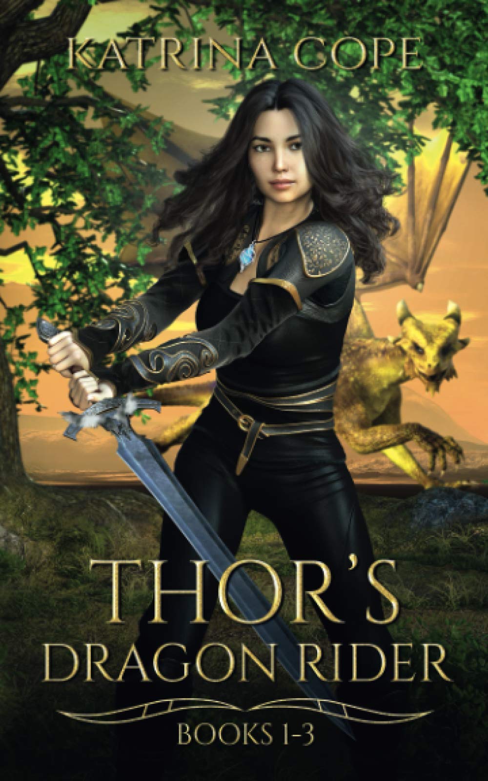 Thor's Dragon Rider: Books 1 - 3: Safeguard, Pursuit & Entrapment ...