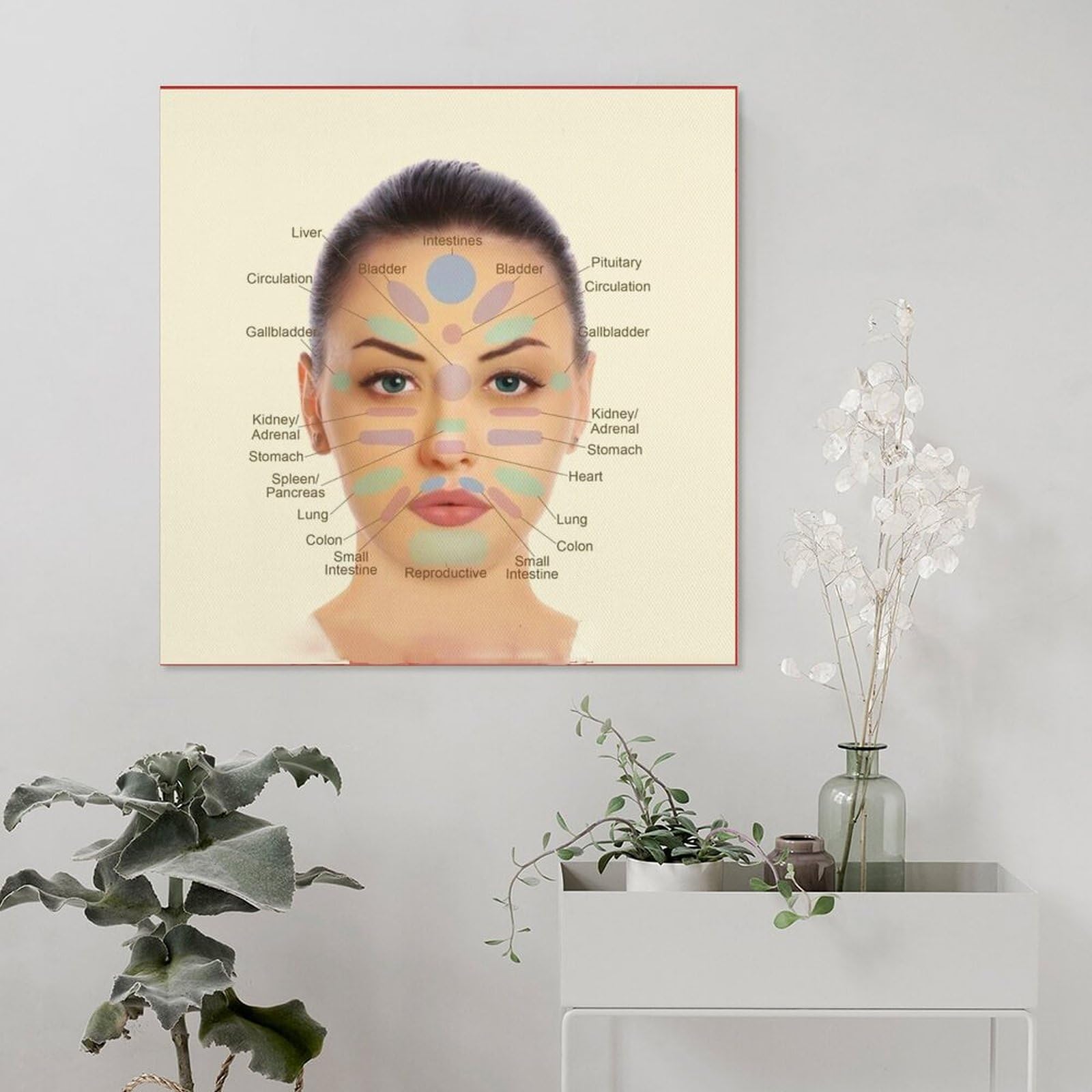 Face Acupuncture Point Diagram