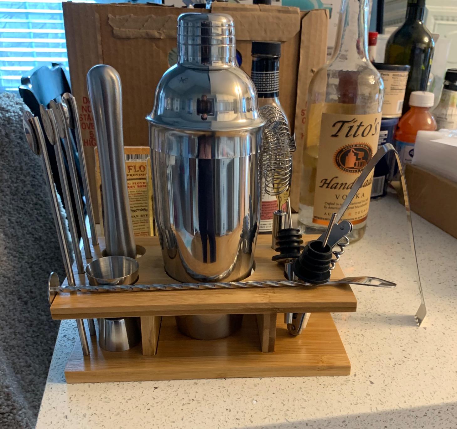 Amazon.com: 14 Pcs Cocktail Shaker Set Professional Mixology Bartender ...