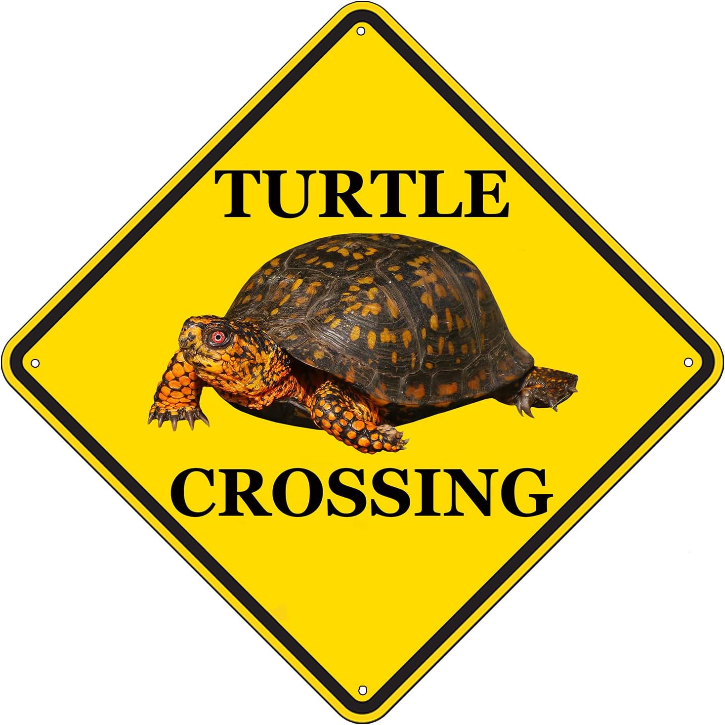 Amazon.com: Wisesign Turtle Sign,Funny Metal Signs,Turtle Accessories ...