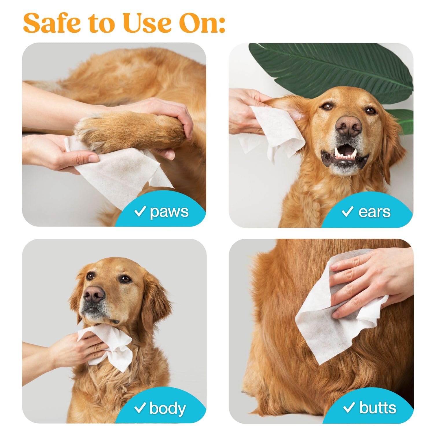 Snapklik.com : WIPEMATE Deodorizing Dog And Cat Wipes, Premium Pet ...