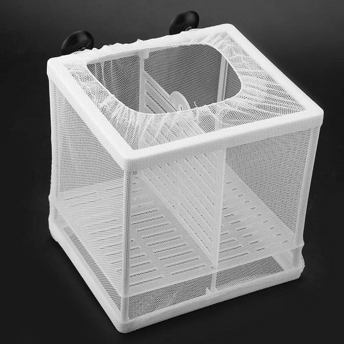 Buy Fish Incubator Mesh Box Fish Tank Isolation Box Fish Breeder Net ...