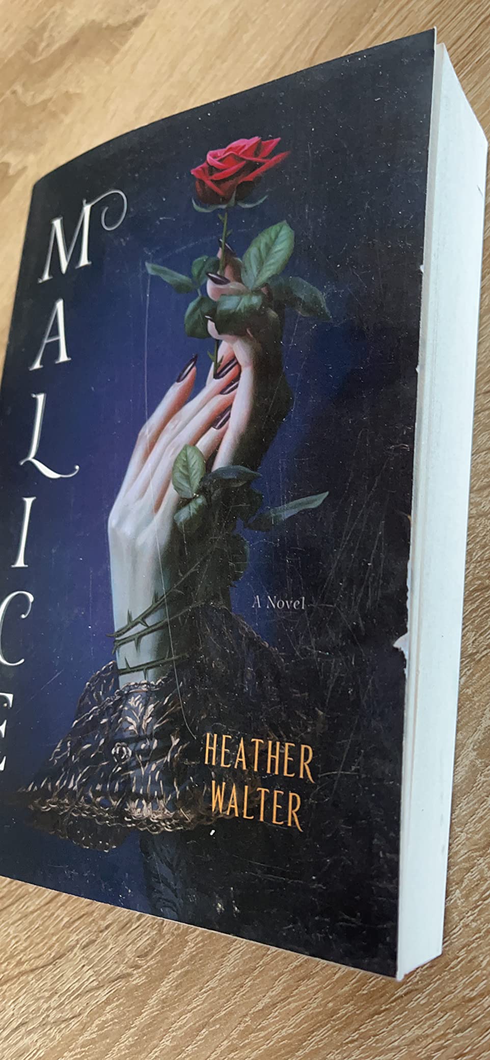 Malice: Book One of the Malice Duology (Malice Duology Series, 1 ...