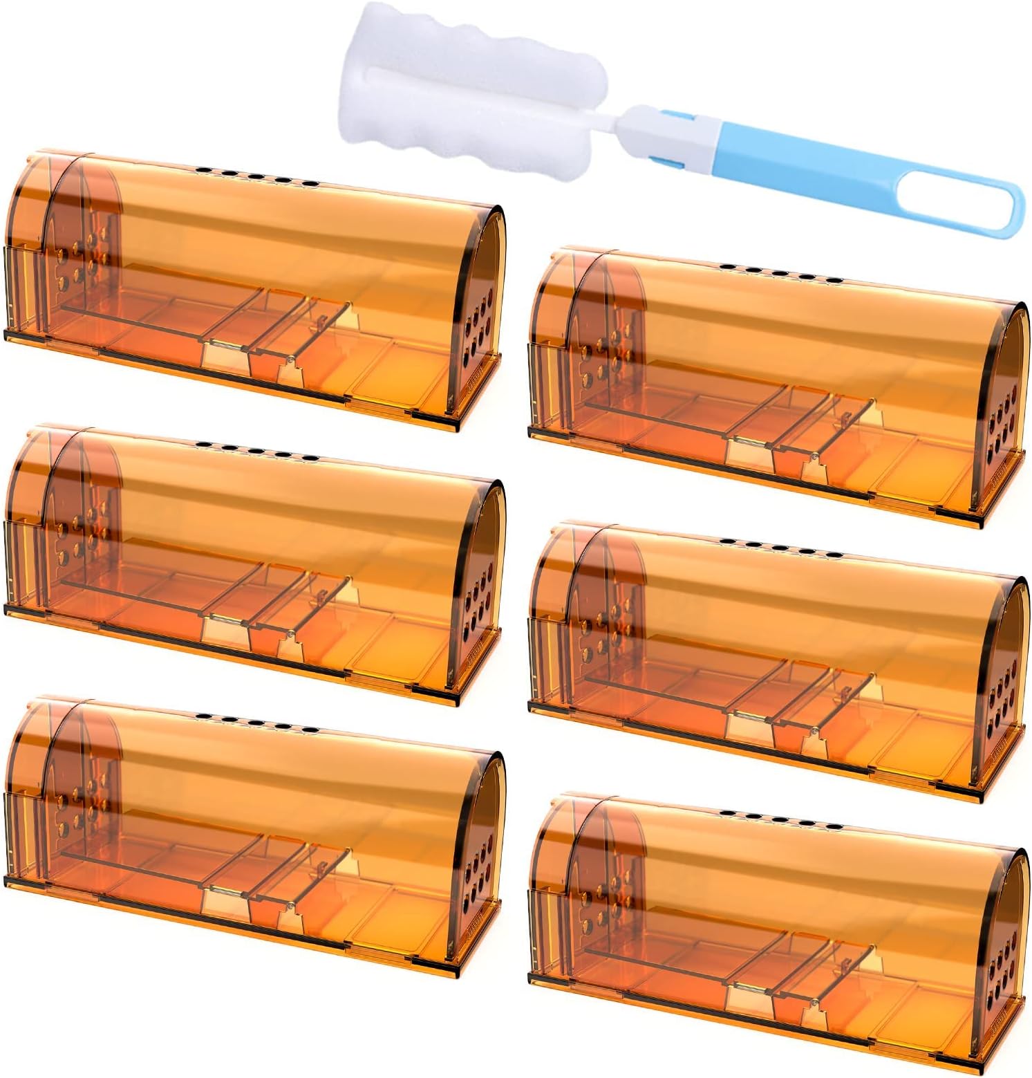 Amazon.com : Motel Mouse Humane Mouse Traps No Kill Live Catch and ...