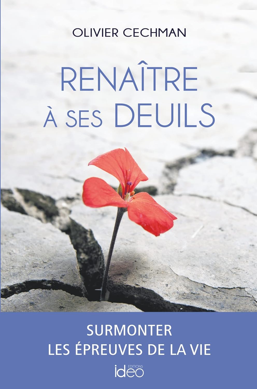 Renaître à ses deuils: Surmonter les épreuves de la vie : Cechman ...