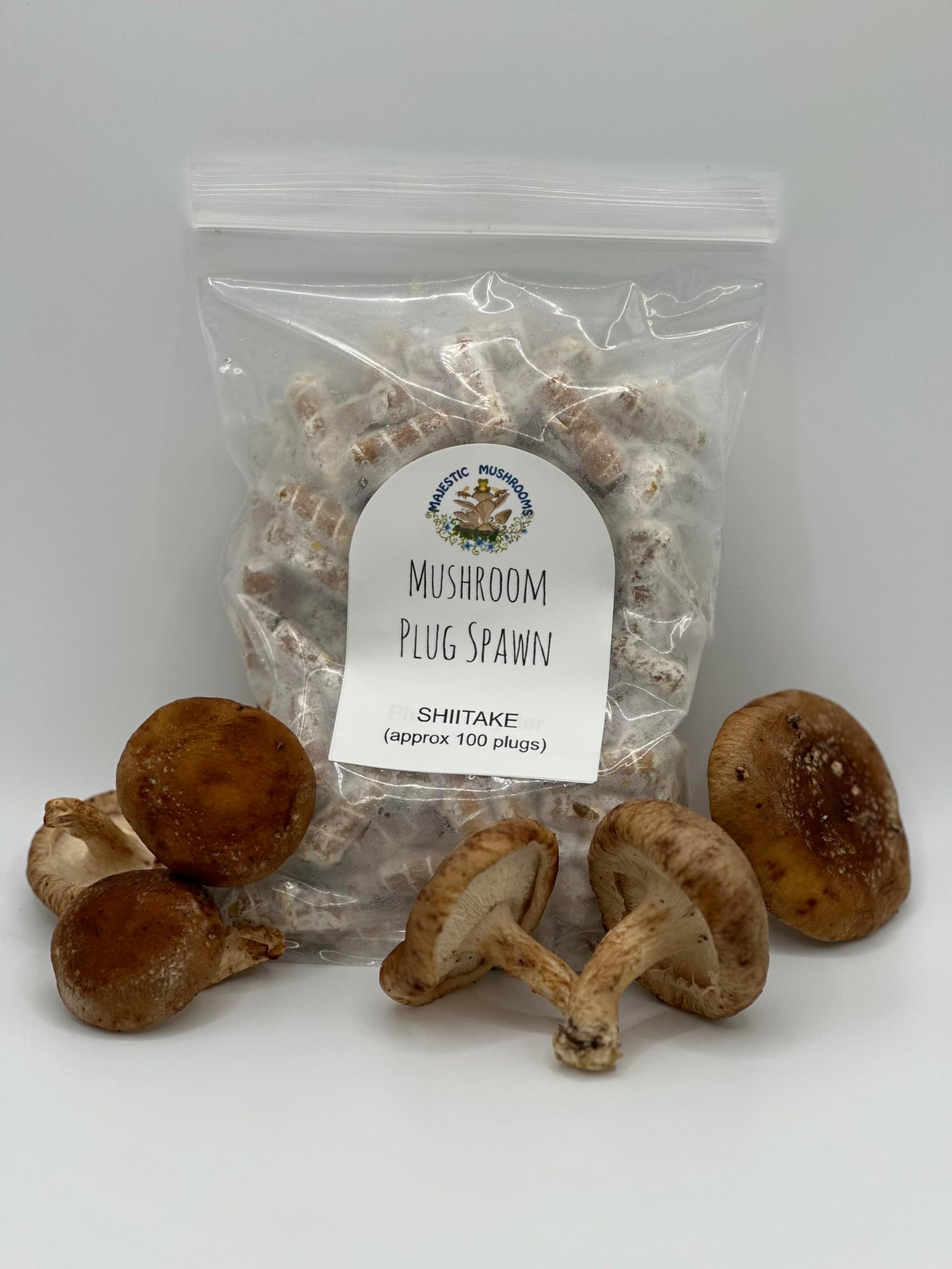 Amazon.com: Shiitake Mushroom Grain Spawn - 1 lb. Ready to Use - Grow ...