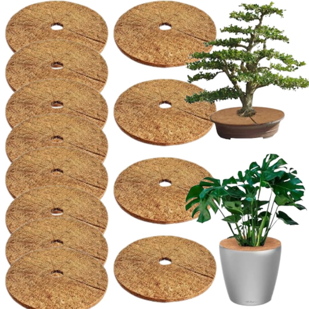 Deegaa Mart Coconut Mulch Mat 18 Inch Coco Coir Fiber | Desertcart INDIA