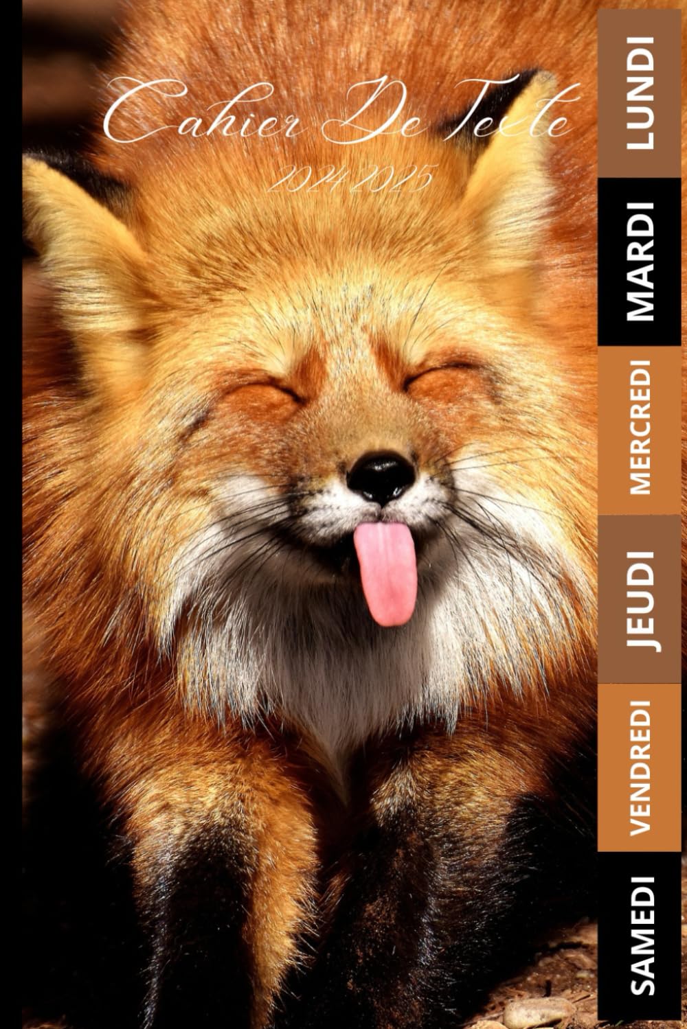 CAHIER DE TEXTE 2024 2025 RENARD: pour filles et garçons : Carnet de ...