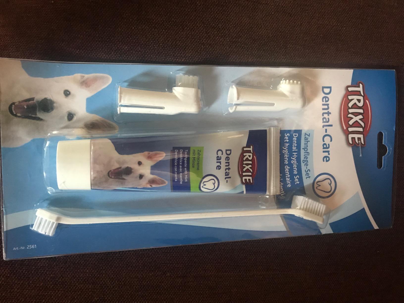 Trixie Cats Dental Hygiene Set - Cat Toothbrush and Toothpaste : Amazon ...