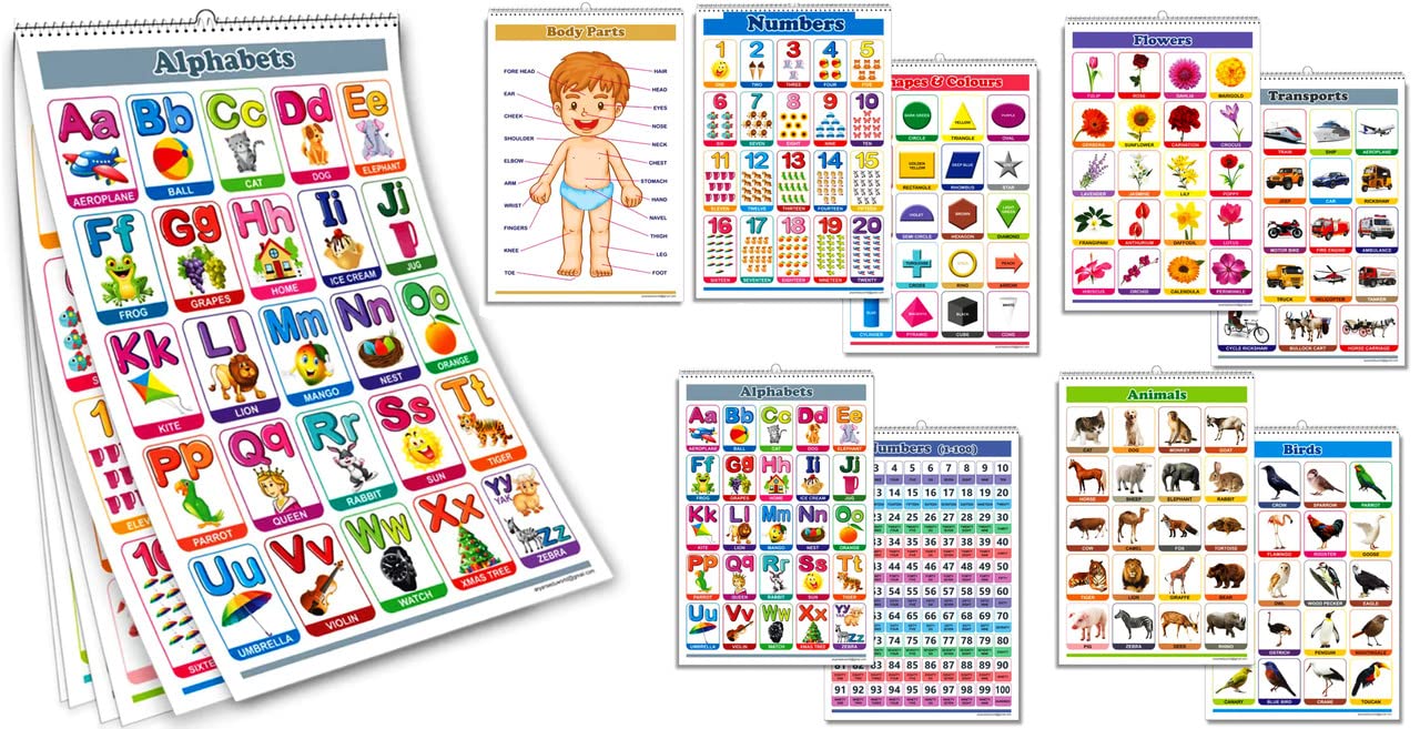 11 Subjects Educational Posters For Toddlers Kids Alphabet Abc Poster ...
