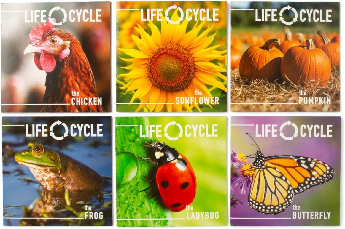 Amazon.com: Fun Express Life Cycle Readers - Educational - 6 Pieces ...