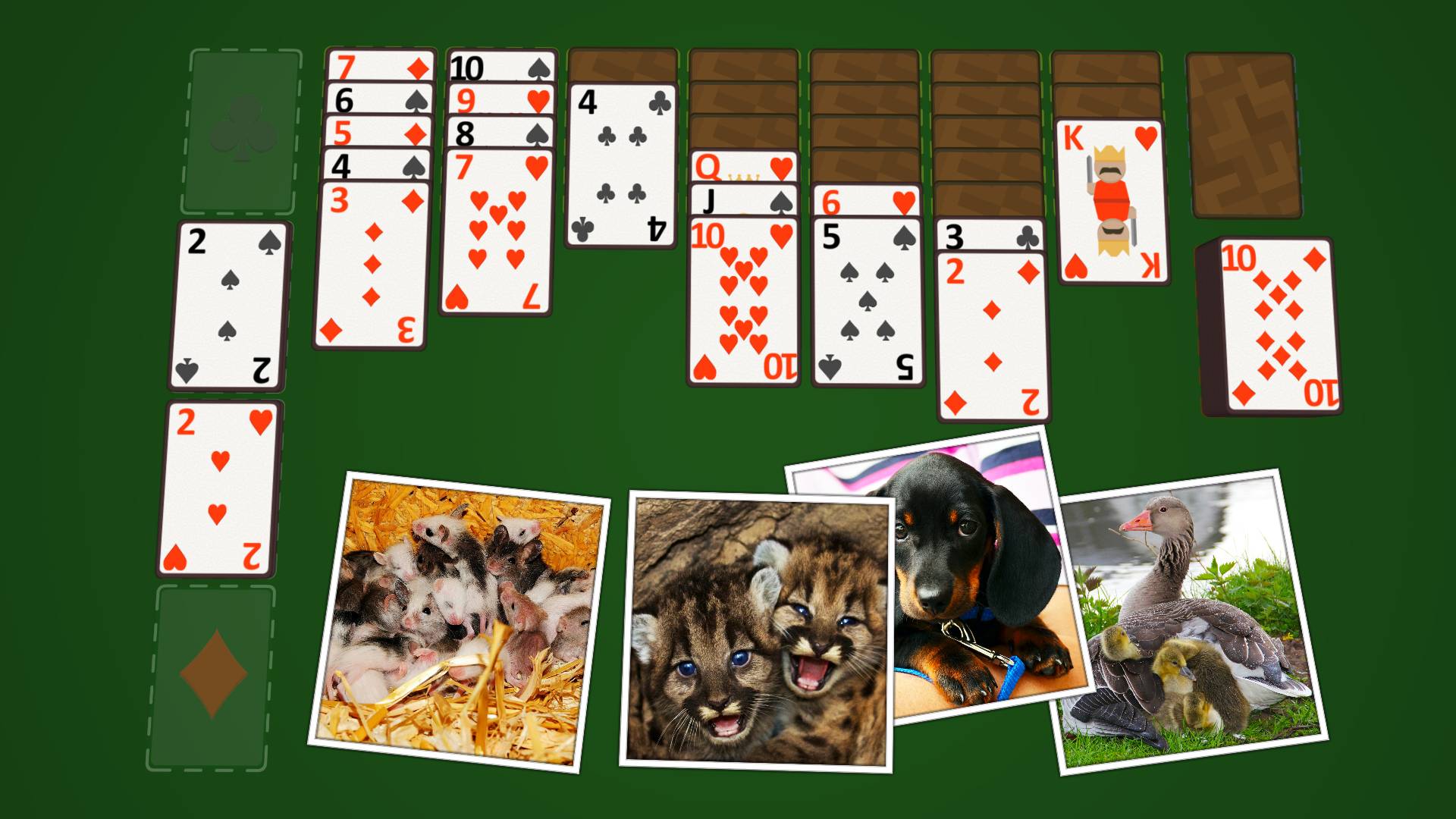 Solitaire Baby Animals TV - App on Amazon Appstore
