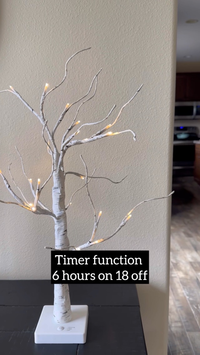Watch The most gorgeous battery operated birch trees on Amazon Live