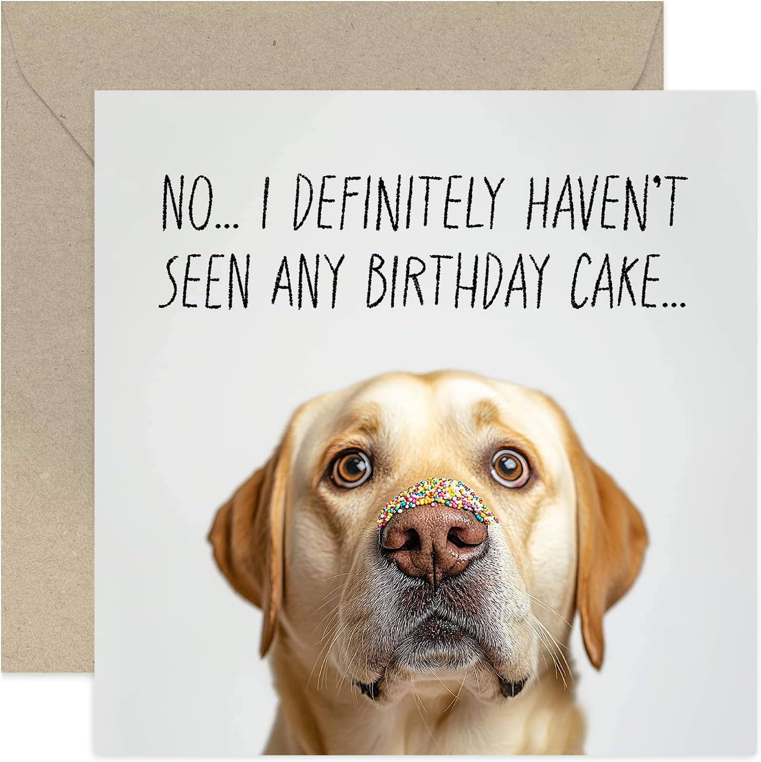 Birthday Cards for Him or Her - Fun Labrador Dog Birthday Card - 'What ...