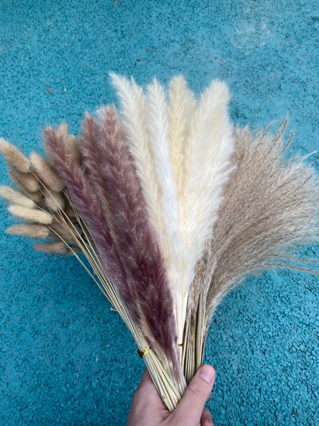 $2/mo - Finance Dried Pampas Grass Decor,18 Inches Small Pompus Grass ...