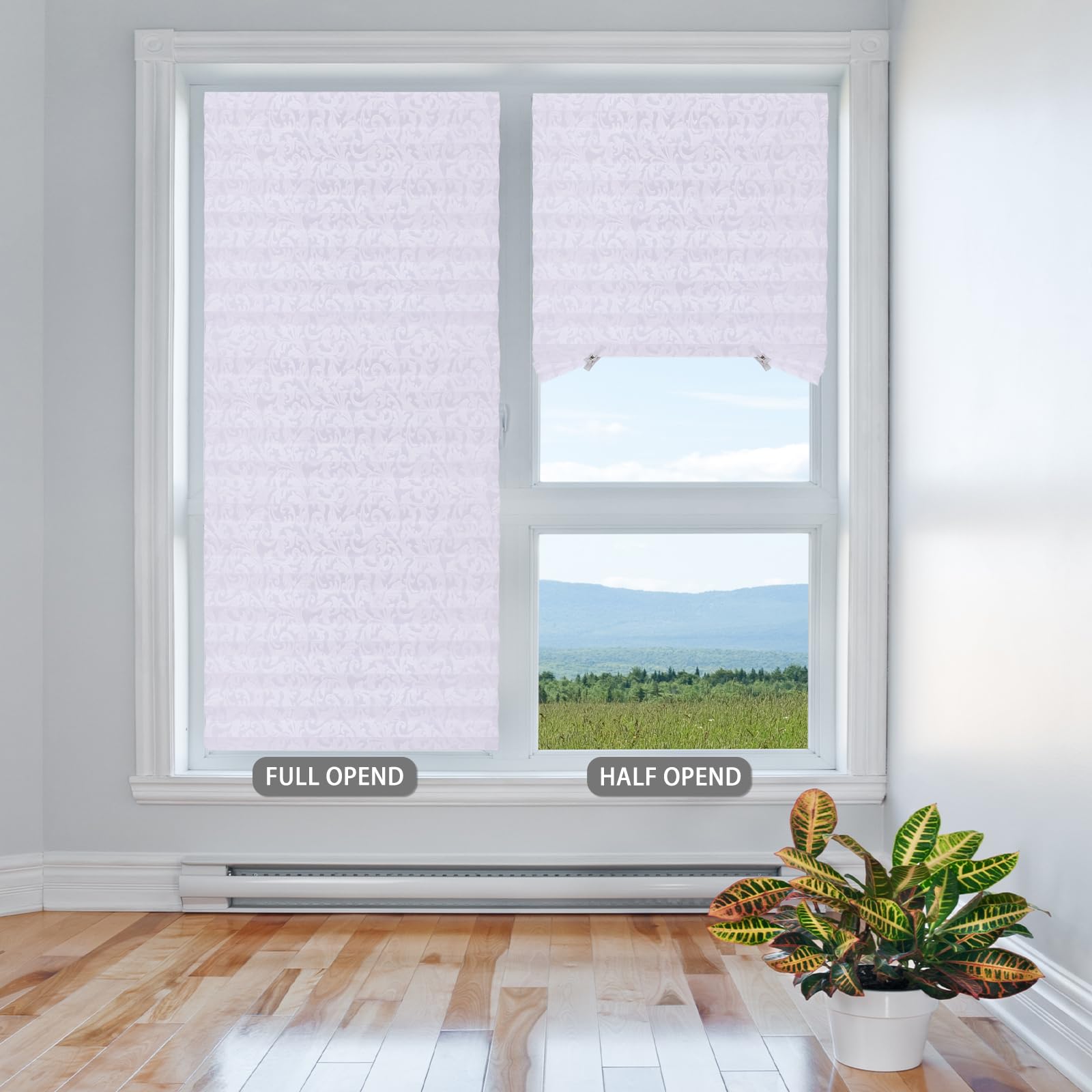 Temporary Paper Window Shades