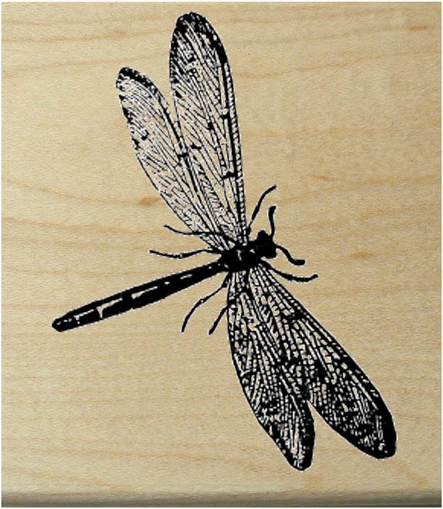 Amazon.com: Dragonfly Large Rubber Stamp : Arts, Crafts & Sewing